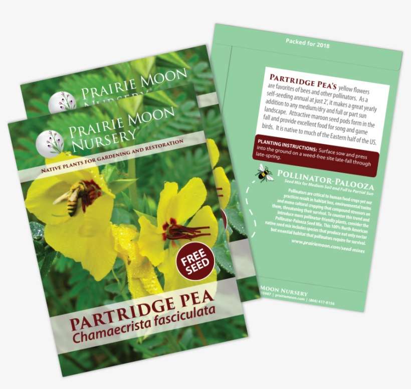 Free Partridge Pea Seed Packet - Partridge Pea PNG Image | Transparent ...