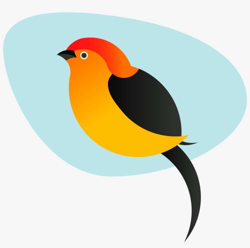 Pipra Is A Boutique Indian Company On A Mission To - European Robin PNG ...