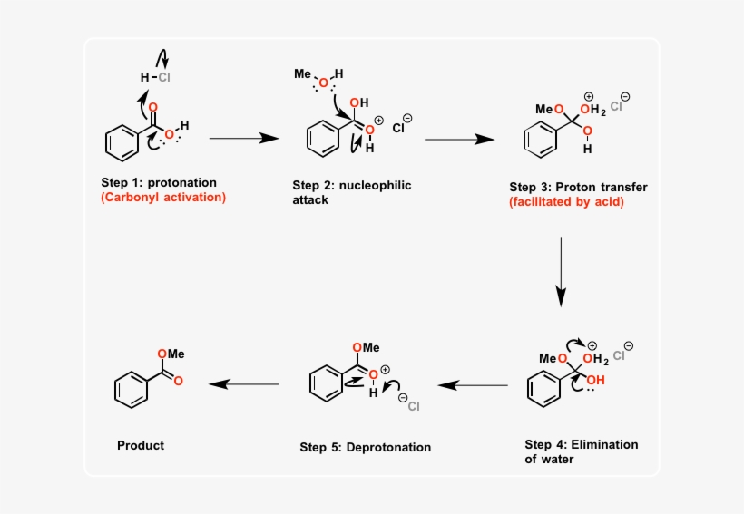 Stock Catalysis In Organic Chemistry PNG Image | Transparent PNG Free ...