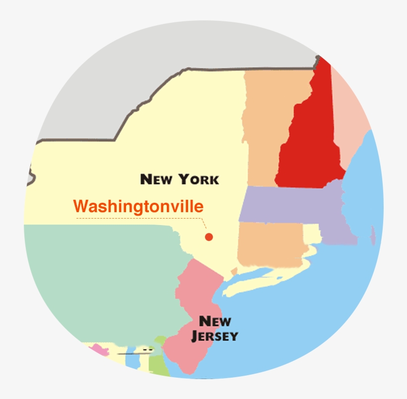 How To Get There - Map PNG Image | Transparent PNG Free Download on SeekPNG