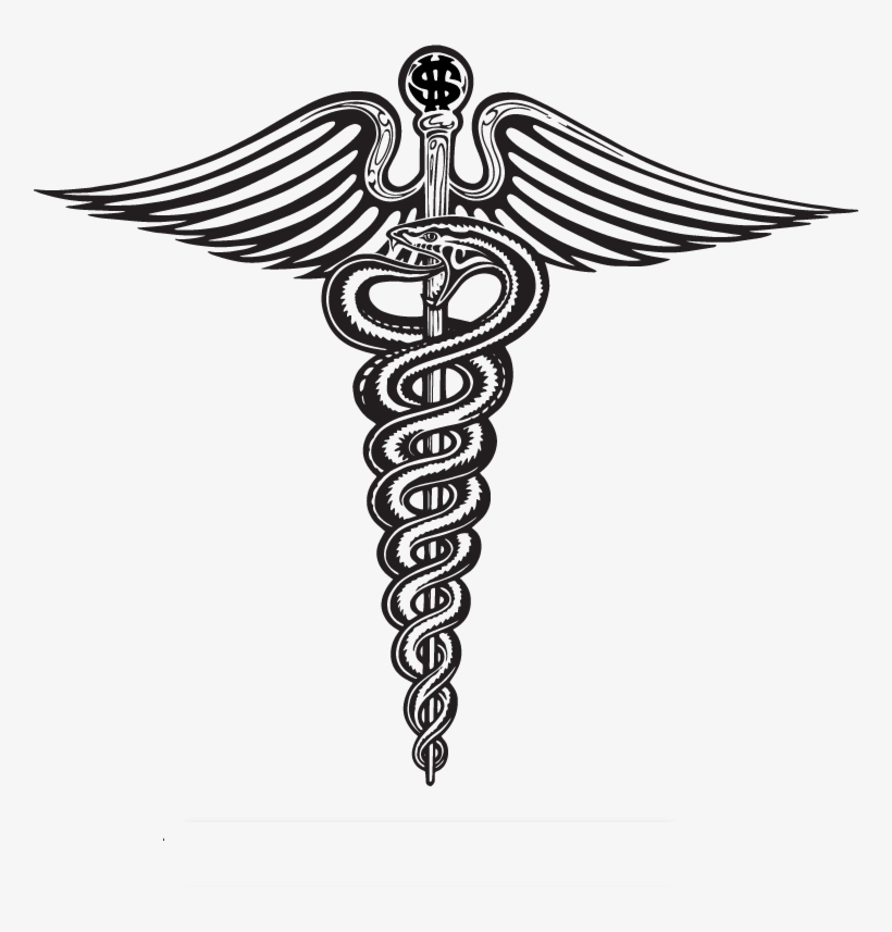 Declaration Of Sentiments PNG Image | Transparent PNG Free Download on ...