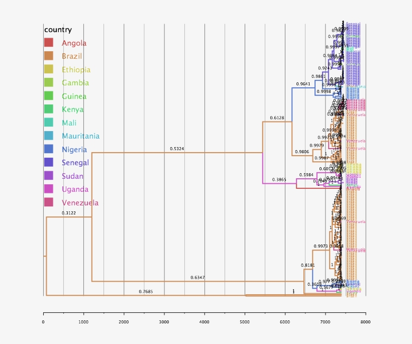 Download Tree Arranged By Country - Diagram | Transparent PNG Download ...
