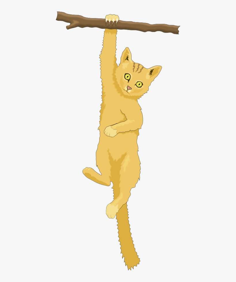 Cat In Tree Clipart PNG Image | Transparent PNG Free Download on SeekPNG