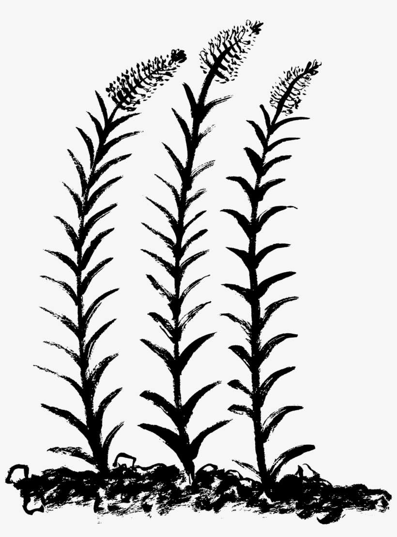 The Twizzler PNG Image | Transparent PNG Free Download on SeekPNG