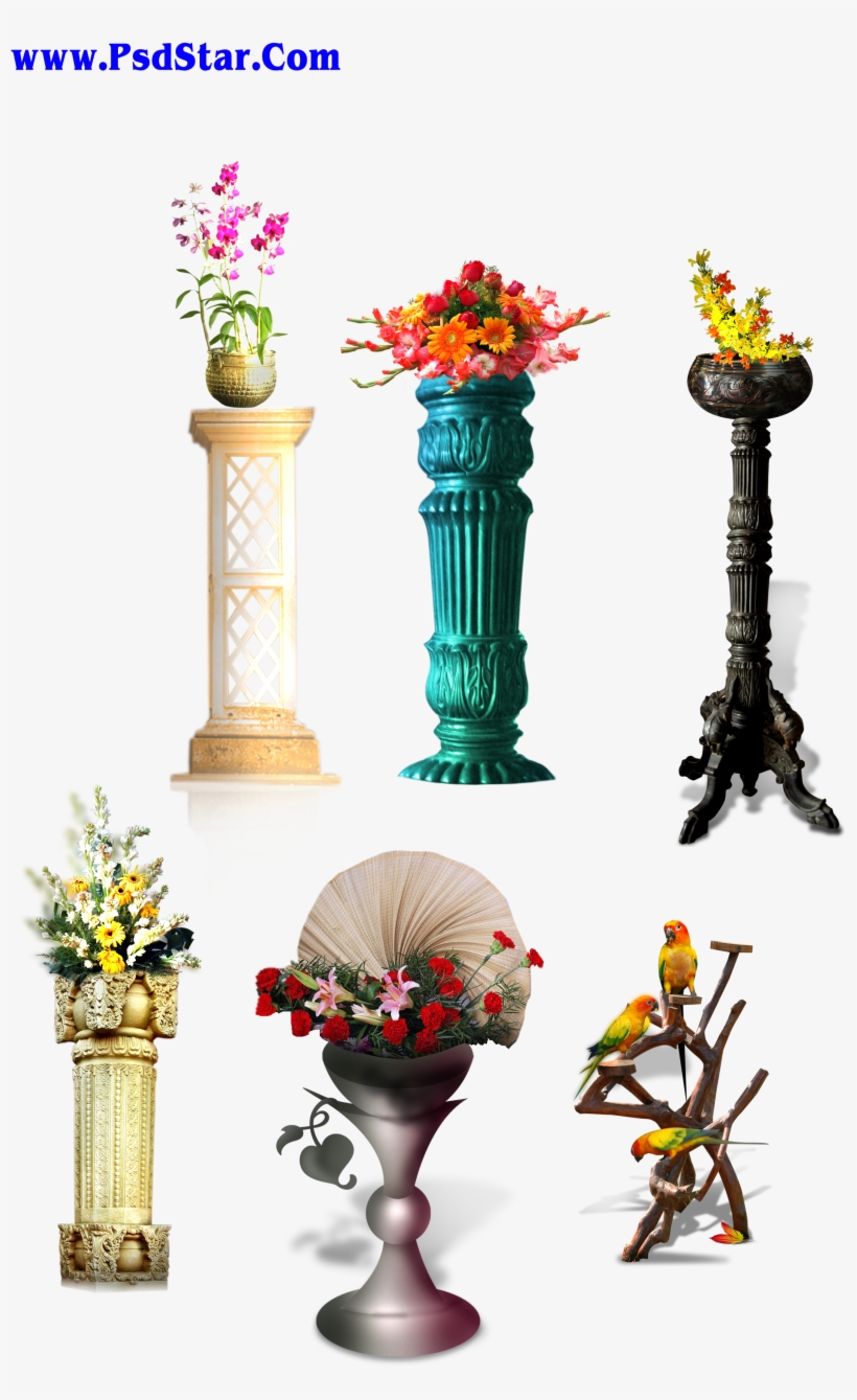 Download Studio Background Flowers Png | Transparent PNG Download | SeekPNG