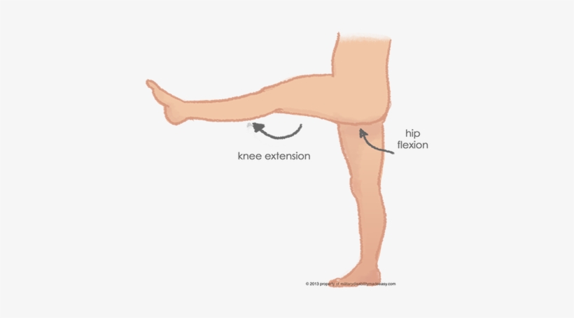 Download Flexion Of Hip And Knee 6 - Knee | Transparent PNG Download ...