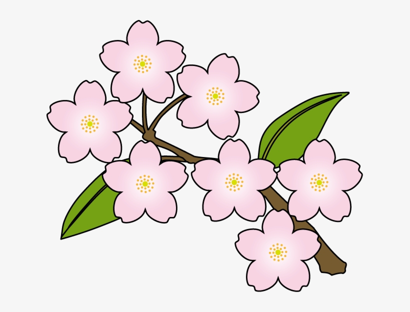 Cherry Blossoms Clipart