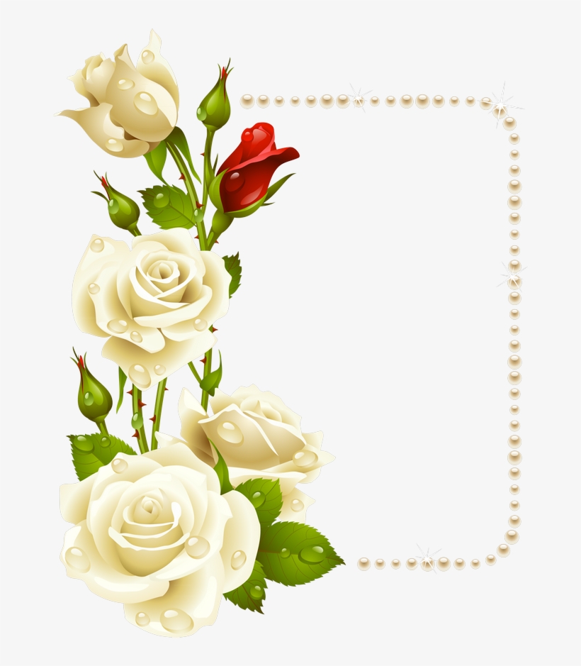 22 - White Rose Corner Png PNG Image | Transparent PNG Free Download on ...