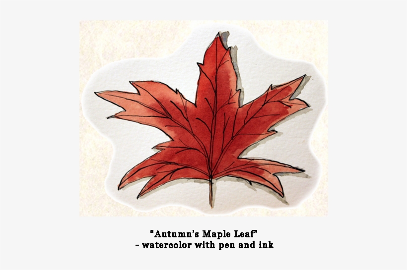 Deciduoustree2, Mapleleaf - Maple Leaf PNG Image | Transparent PNG Free ...