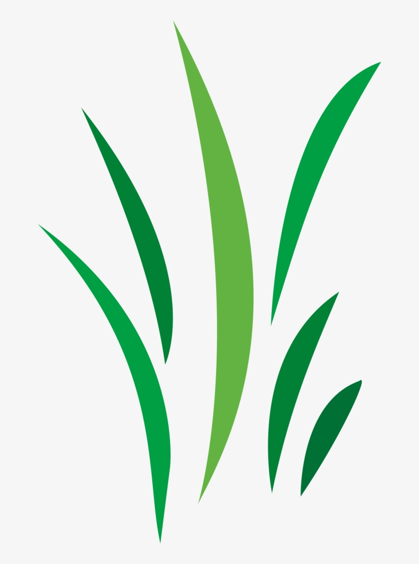 Free Cool Vector Designs Png - Illustration PNG Image | Transparent PNG ...