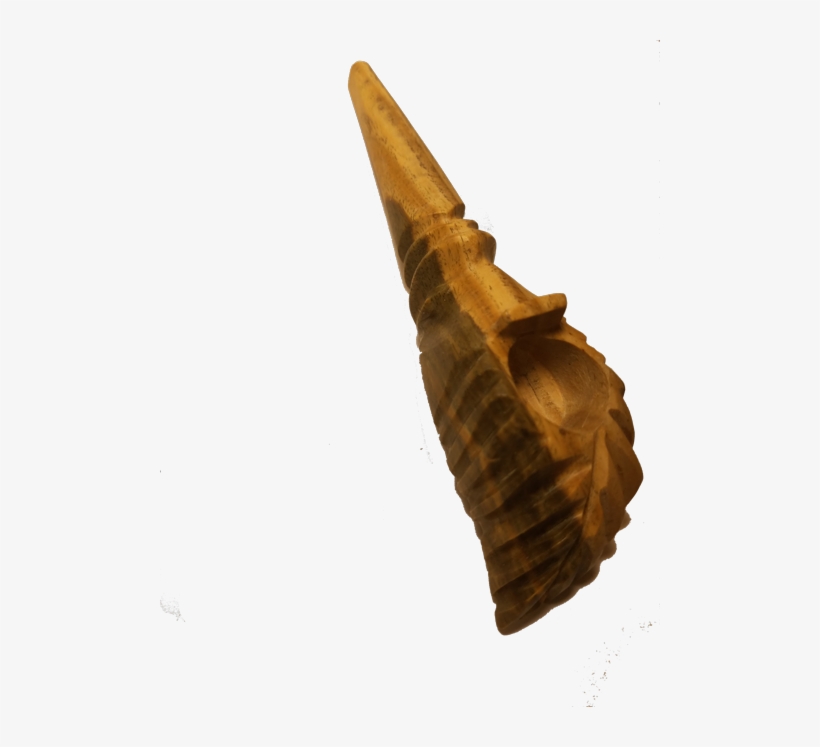 Lignum Vitae Pipe - Conch PNG Image | Transparent PNG Free Download on ...