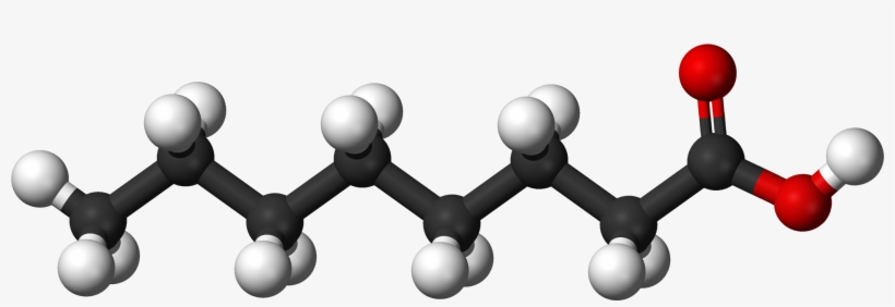 File - Caprylic Ac - Structure Of Caprylic Acid PNG Image | Transparent ...