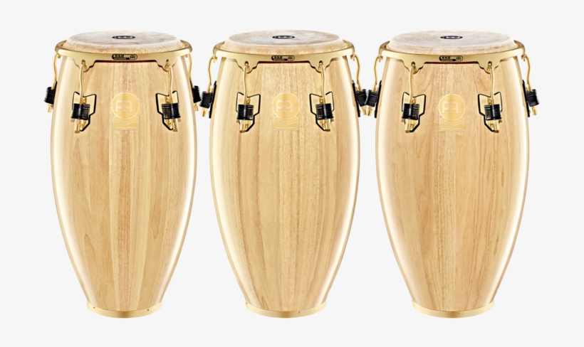 Artist Series Congas PNG Image | Transparent PNG Free Download on SeekPNG