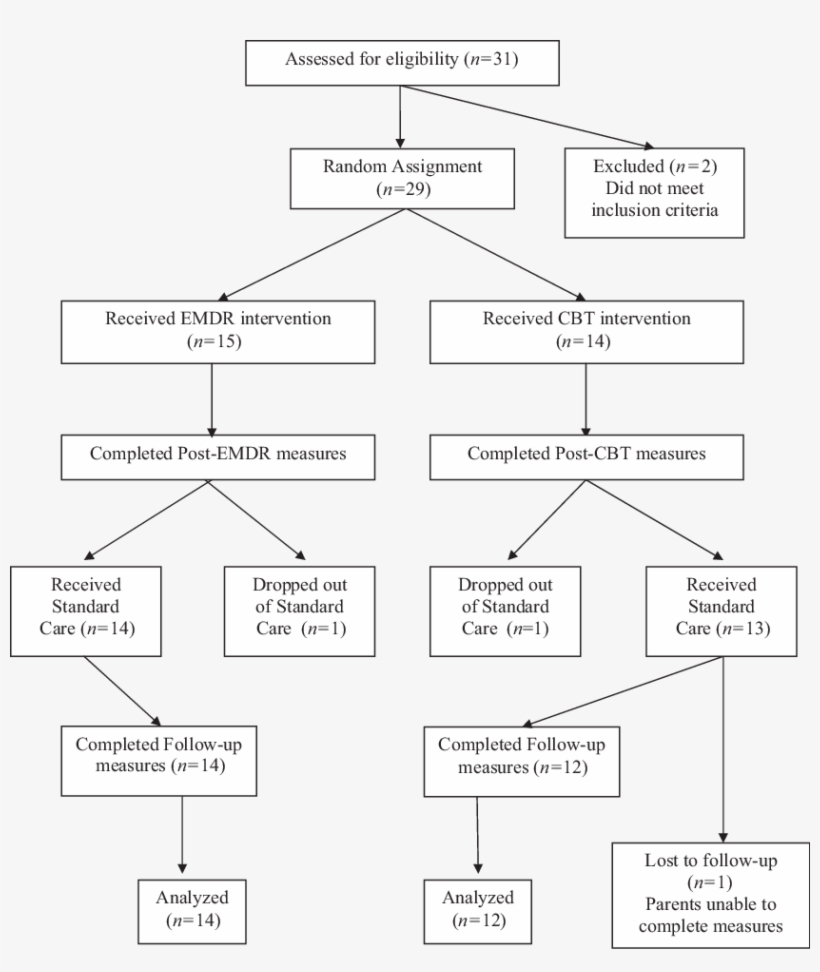 Flow Of Participants Through The Study - Diagram PNG Image ...