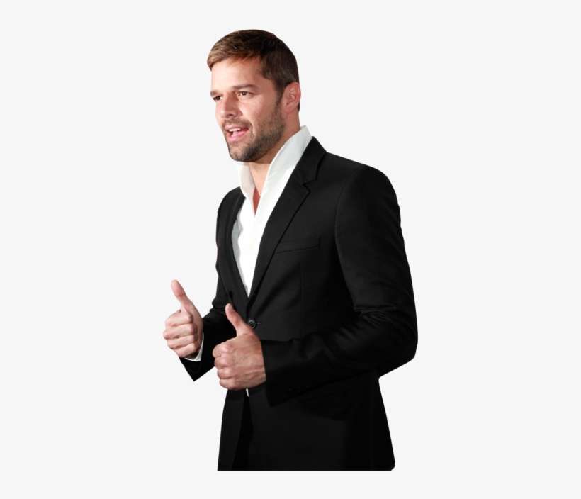 Ricky Martin Png PNG Image | Transparent PNG Free Download on SeekPNG
