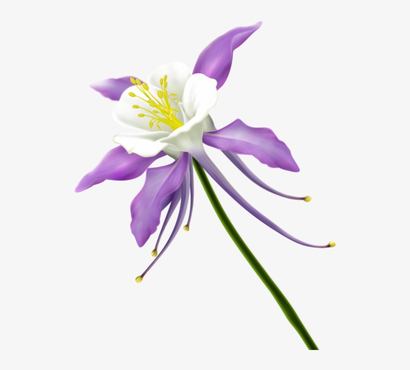 Fleurs,tube,flowers,png - Flower PNG Image | Transparent PNG Free ...