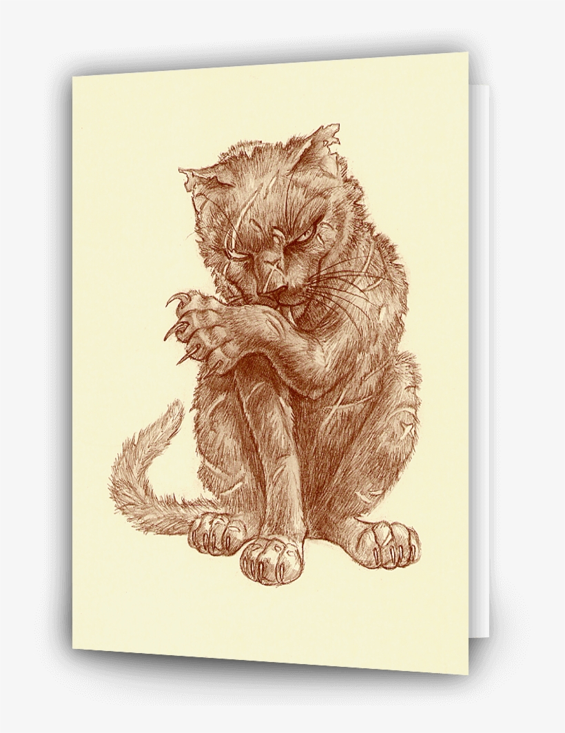 Click To Zoom - Greebo Cat PNG Image | Transparent PNG Free Download on ...