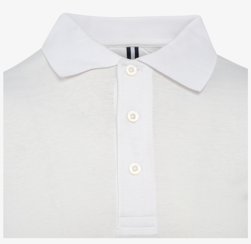 Polo Shirt PNG Image | Transparent PNG Free Download on SeekPNG