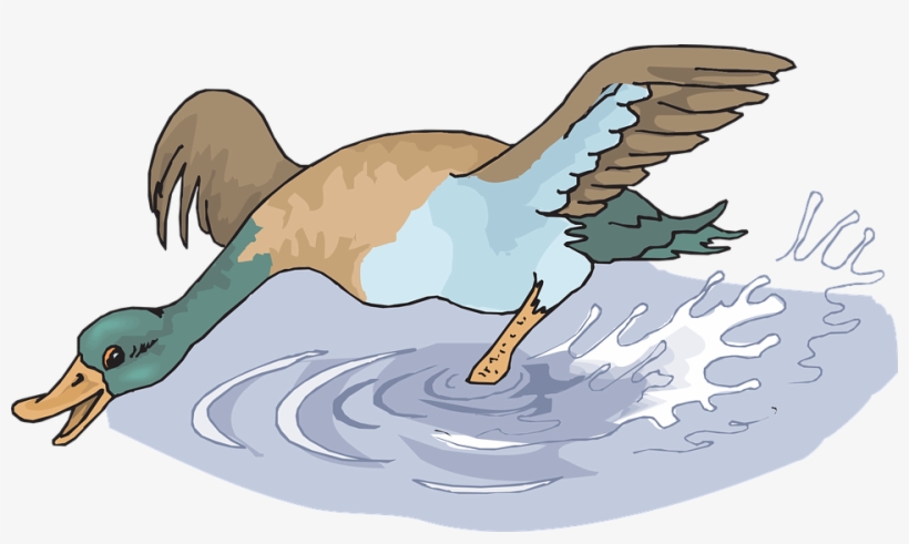 Happy Duck Png - Ducks Running Drawing PNG Image | Transparent PNG Free ...