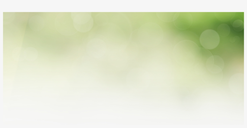 Nutritional Content - Green Transparent Background Png PNG Image ...