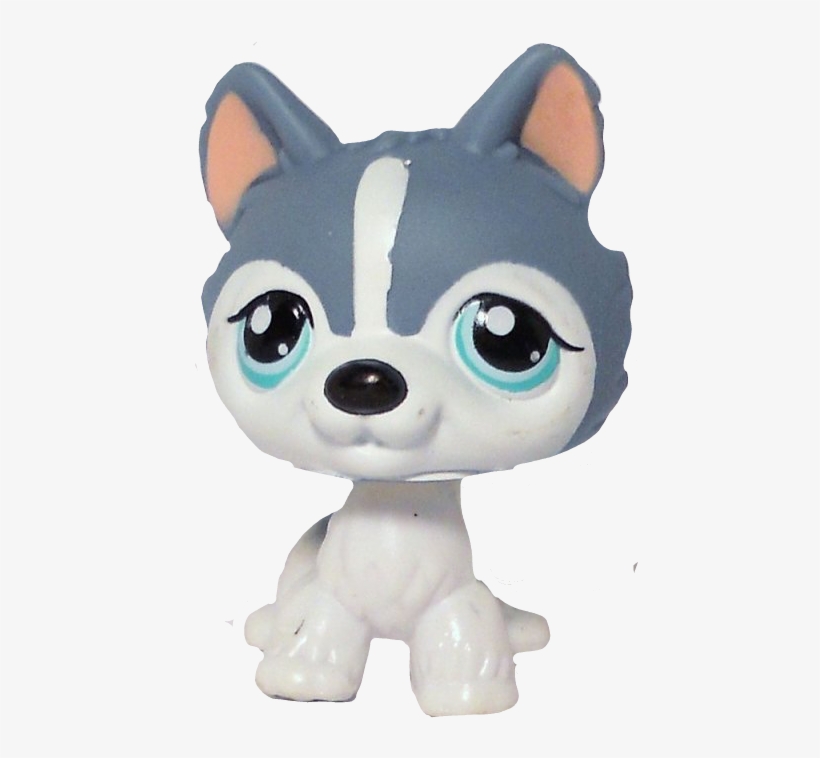 Husky Transparent Lps Image Library Stock - Lps Grey And White Husky ...