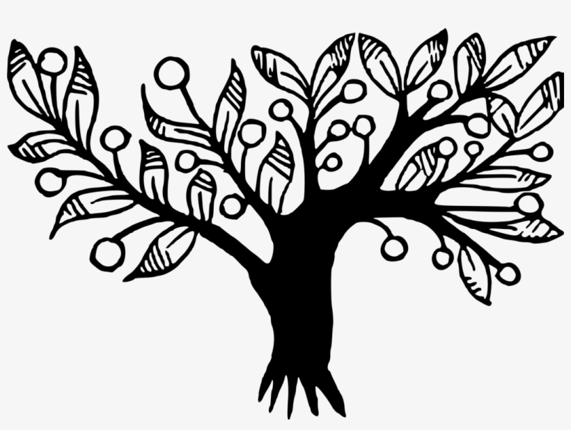 Genealogy History Twig Family Tree - Frog Hollow Farm PNG Image ...