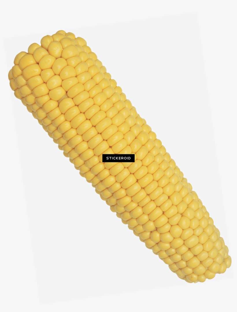 Download Corn Solo - Corn On The Cob Png | Transparent PNG Download ...