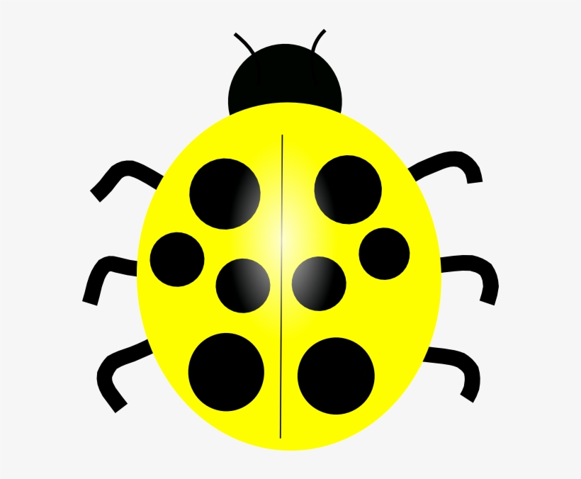Small - Lady Bug Cartoon Yellow PNG Image | Transparent PNG Free ...