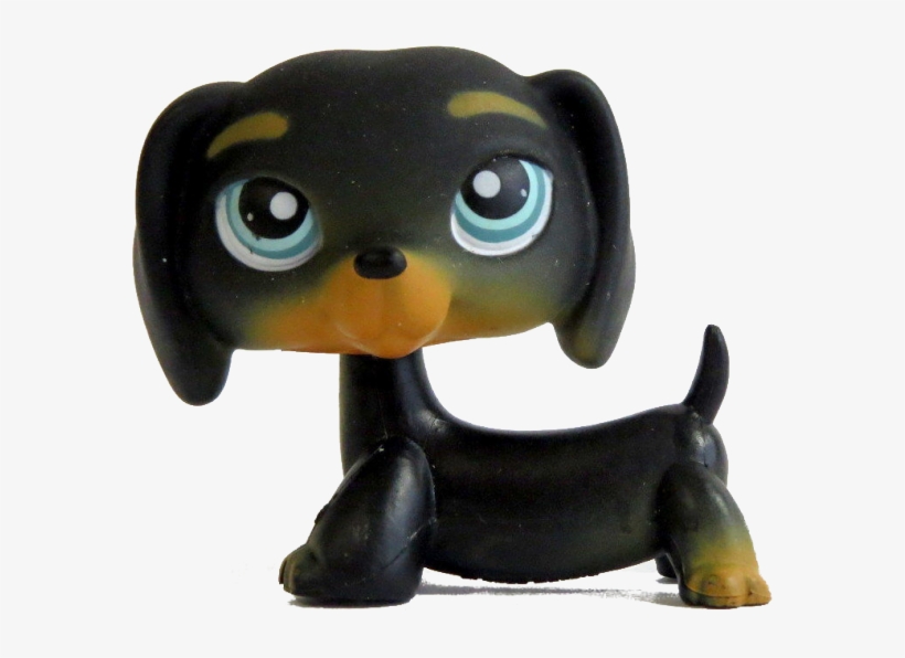 Taylortransparent - Littlest Pet Shop PNG Image | Transparent PNG Free ...