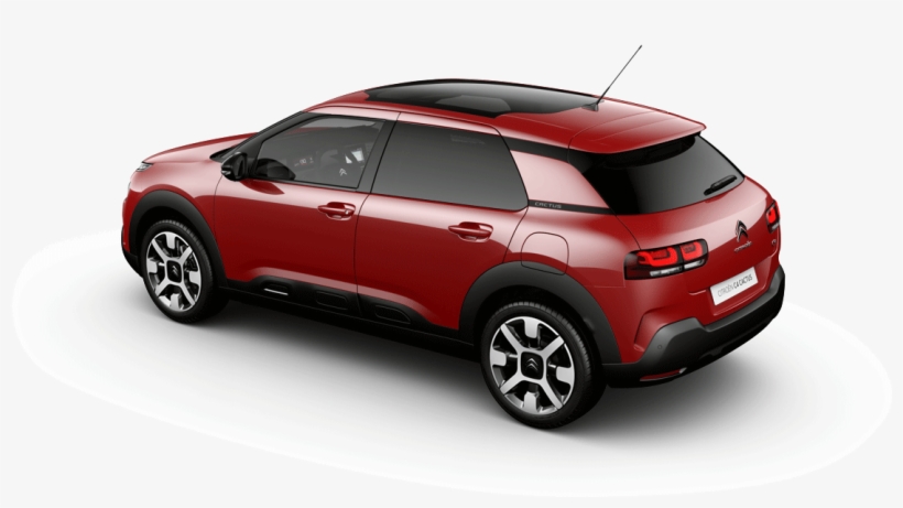 New C4 Cactus PNG Image | Transparent PNG Free Download on SeekPNG