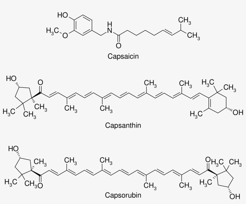 Open - Capsanthin Molecule PNG Image | Transparent PNG Free Download on ...