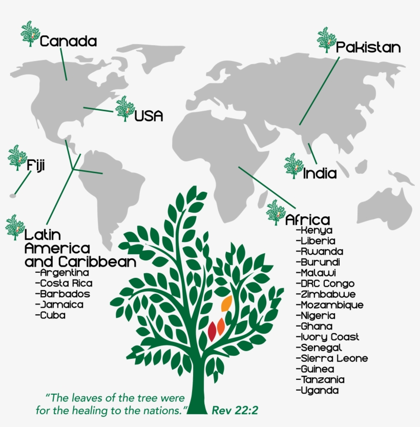 Download Tree - “ - World Map | Transparent PNG Download | SeekPNG