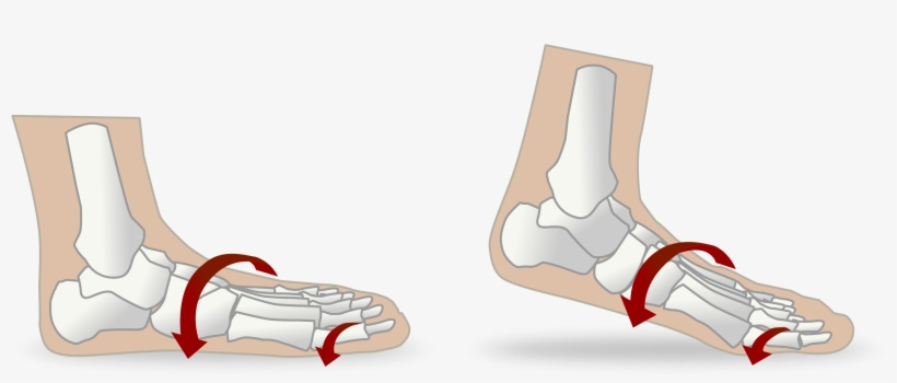 Mechanical Efficiency Diagram Running Feet Red - Footwear PNG Image ...
