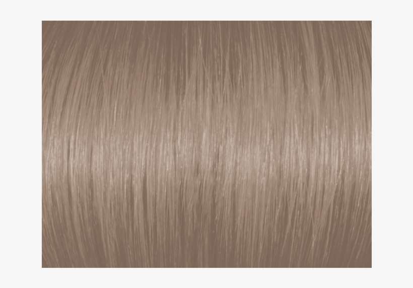 Ash Blue Hair - Light Ash Blonde 8a PNG Image | Transparent PNG Free ...