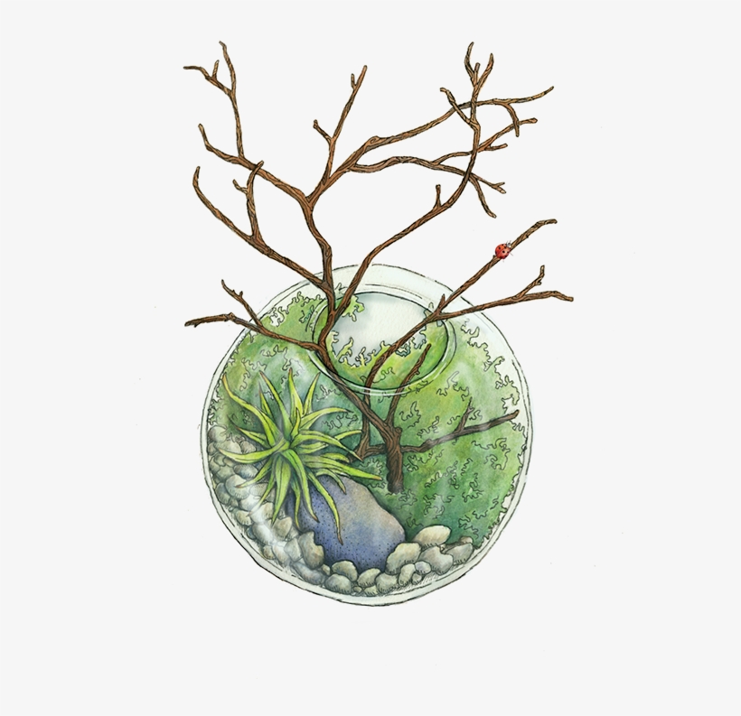 Terraium And Two Spot Illustrations - Terrarium Transparent ...