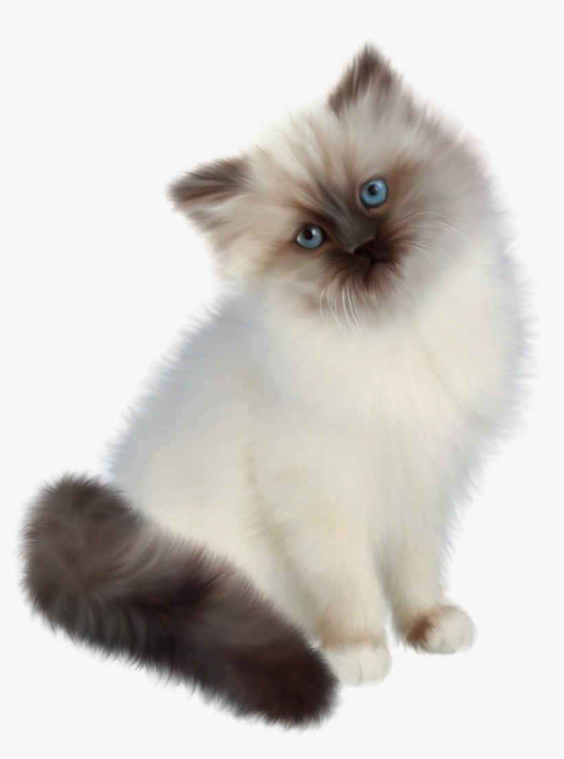 Kitten Transparent Background PNG Image | Transparent PNG Free Download ...