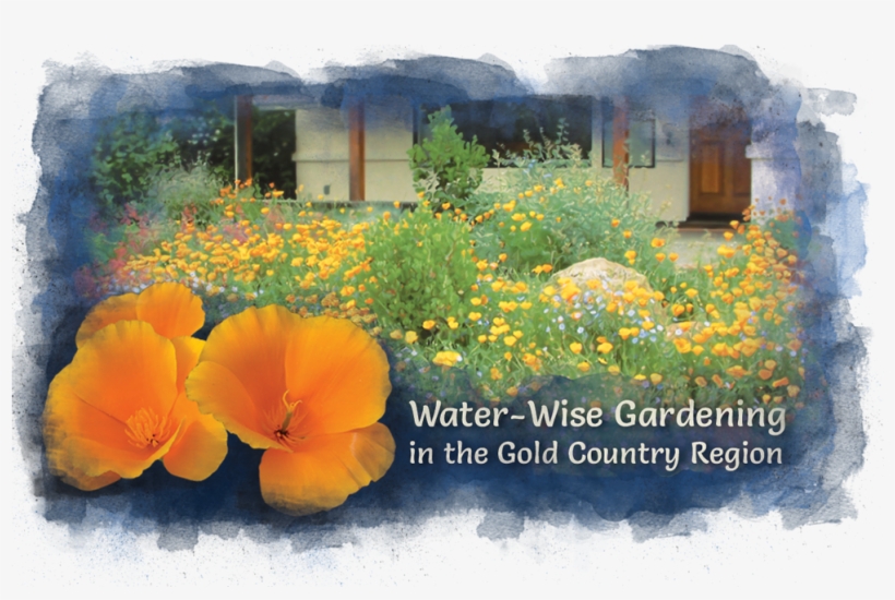 Waterwise Gardening, Llc PNG Image | Transparent PNG Free Download on ...