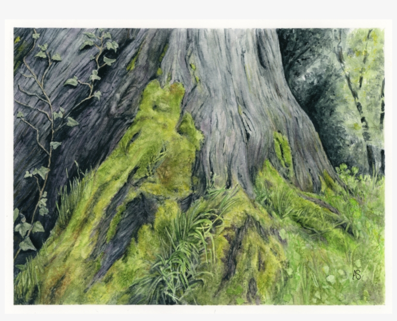Mossy Tree - Watercolor Painting PNG Image | Transparent PNG Free ...