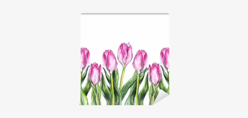 Watercolor Pink Tulip Flower Nature Border Frame Wall - Tulip PNG Image ...