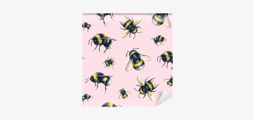 Bumblebee On A Pink Background - Drawing PNG Image | Transparent PNG ...