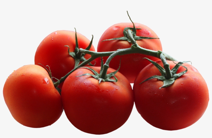 Gallery - Recent Updates - Png Domates PNG Image | Transparent PNG Free ...