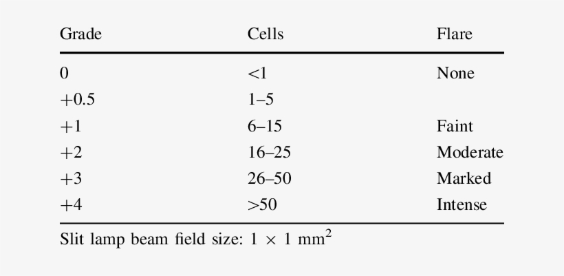 Download Sun Classification Of Cells And Flare - Cell | Transparent PNG ...