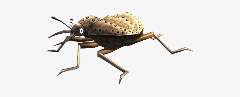Bug - Weevil PNG Image | Transparent PNG Free Download on SeekPNG