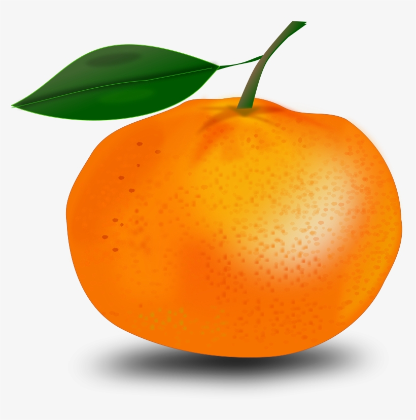 Collection Of Free Orange Transparent - Orange Vector No Background PNG ...