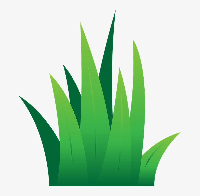 Download Lawn Clipart Tuft Grass - Lawn Vector | Transparent PNG ...