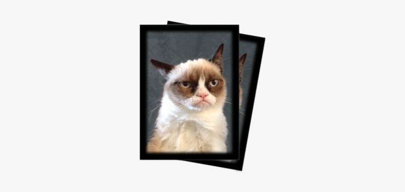 Grumpy Cat - Ultra Pro Grumpy Cat PNG Image | Transparent PNG Free ...