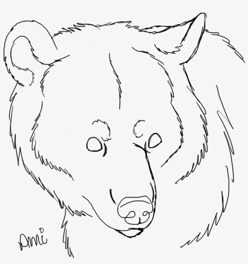 Bear Head Drawing Wallpapers Background - American Black Bear Drawing ...