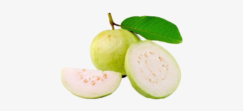Pera Fruit In English PNG Image | Transparent PNG Free Download on SeekPNG
