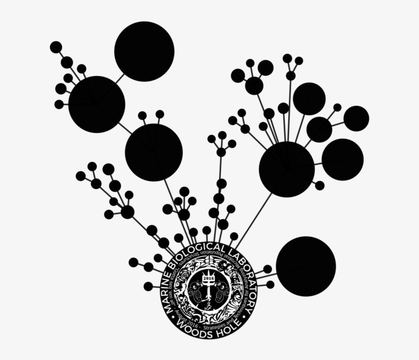 Final Draft Of T-shirt Back Design - Circle PNG Image | Transparent PNG ...