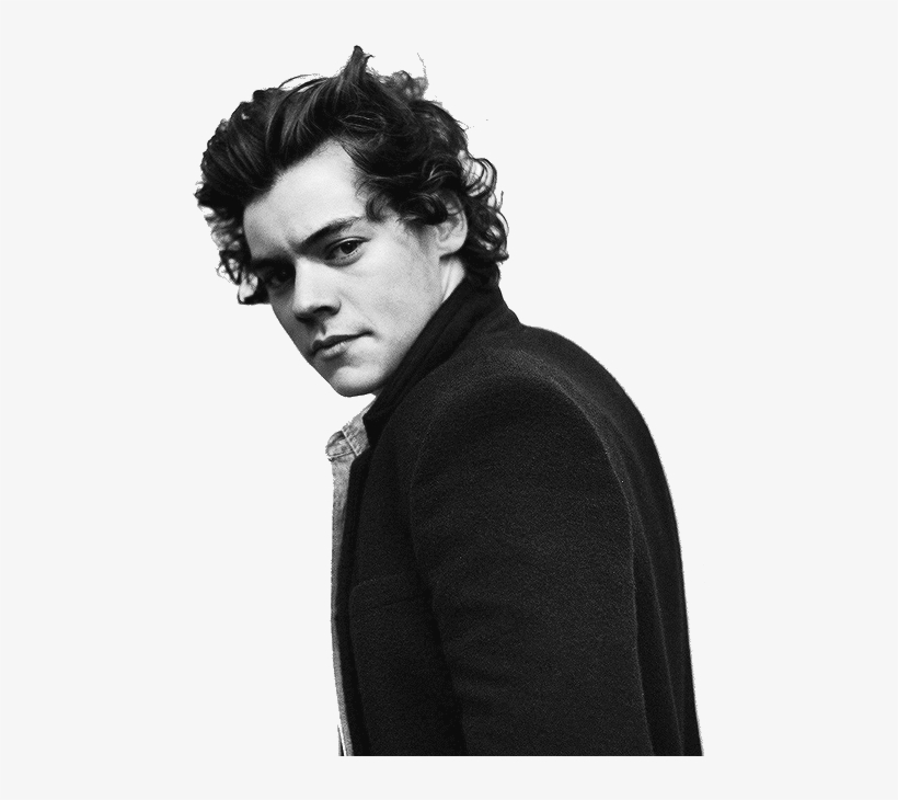 Harry Styles, One Direction, And Harry Image - Harry Styles In Suit Png ...
